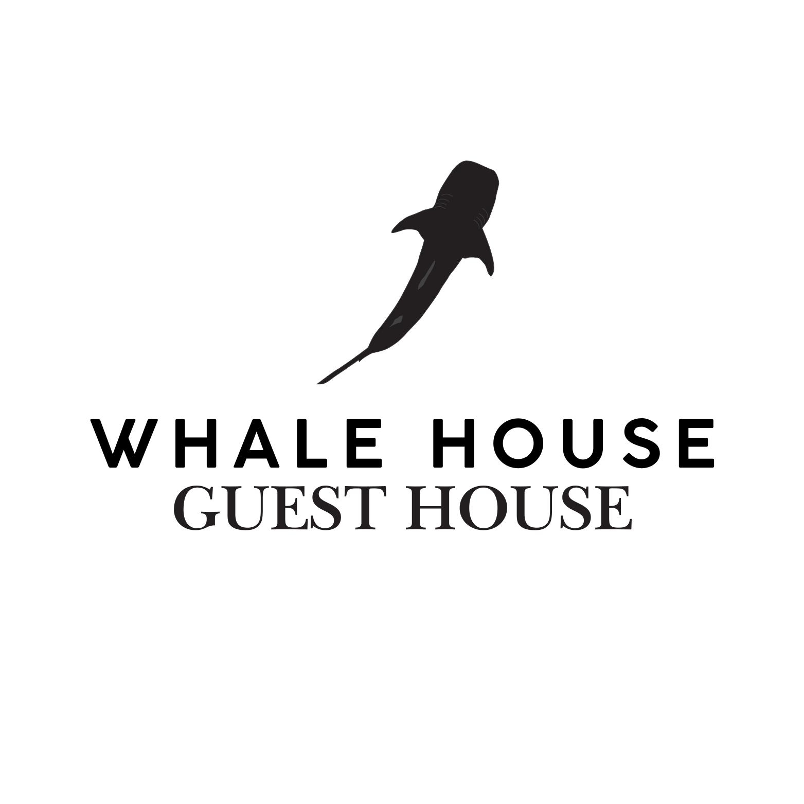 Blue Whale Private Hot Tub Suite – Whale House Guest House