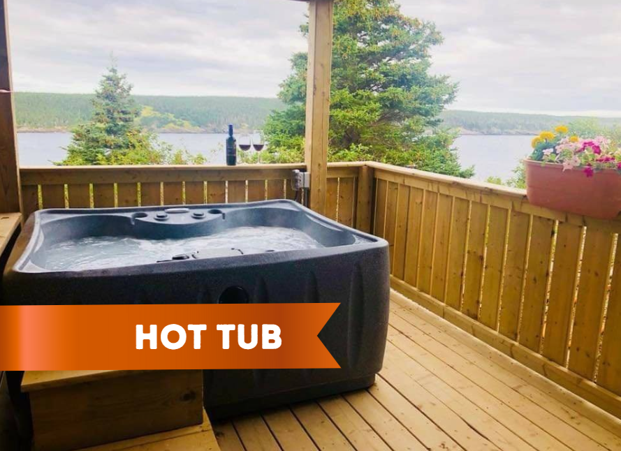 Humpback Whale – Whale House Guest House